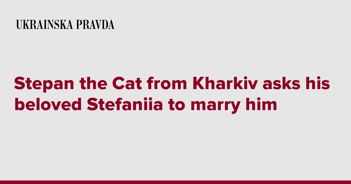 Stepan the Сat from Kharkiv asks his beloved Stefaniia to marry him ...