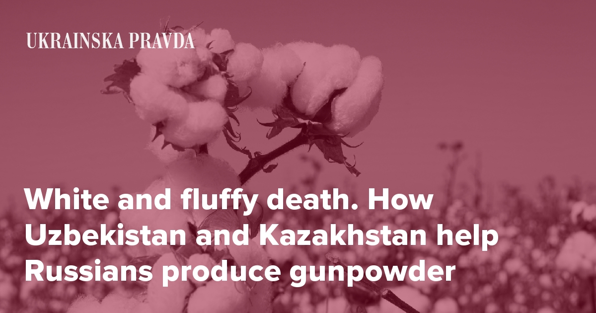 White and fluffy death. How Uzbekistan and Kazakhstan help Russians ...