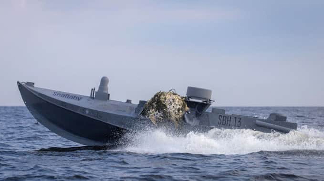Sea Baby: українці задонатили майже 300 млн за рекордні 2 дні ...