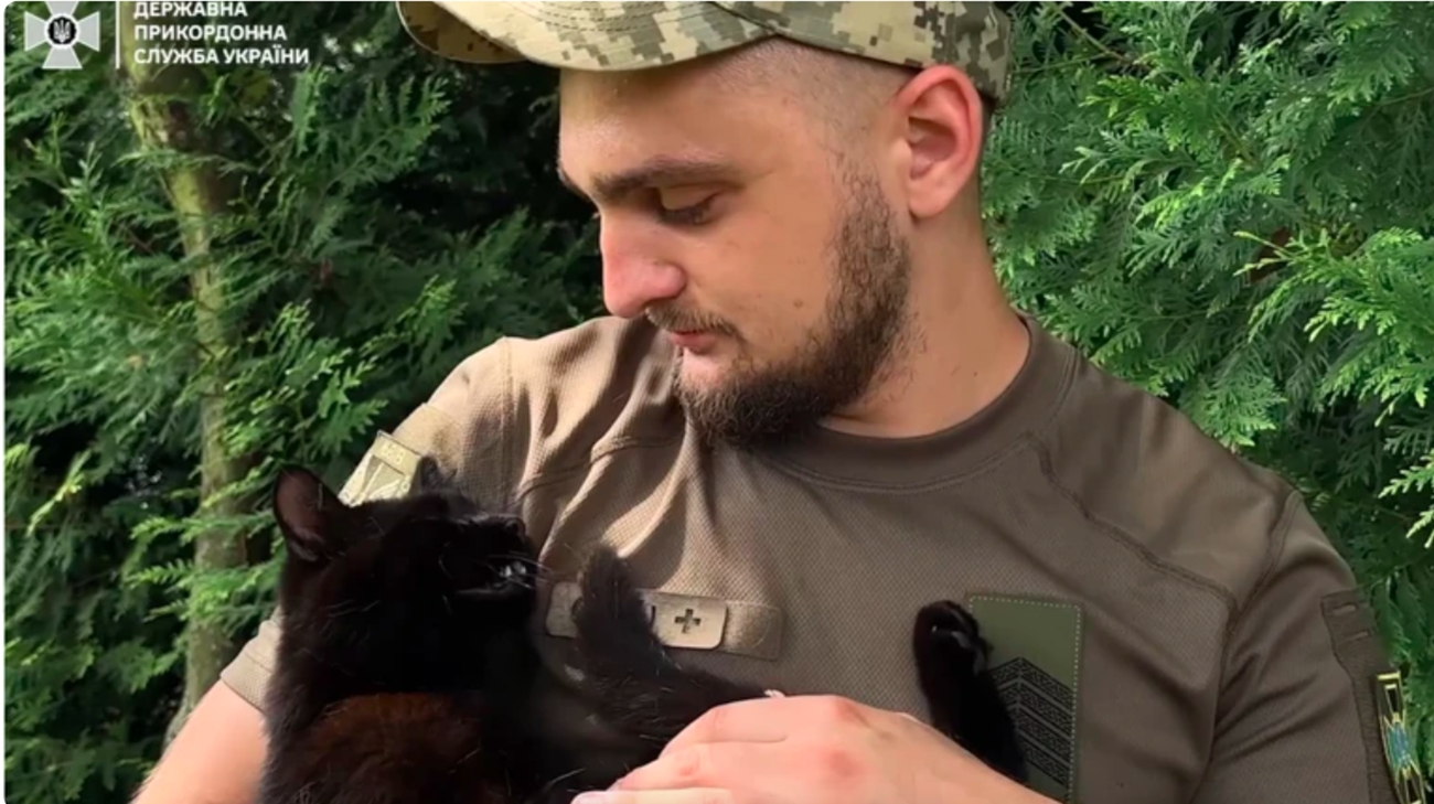 Border guards show their combat cats Mavik and Leo – video | Ukrainska Pravda