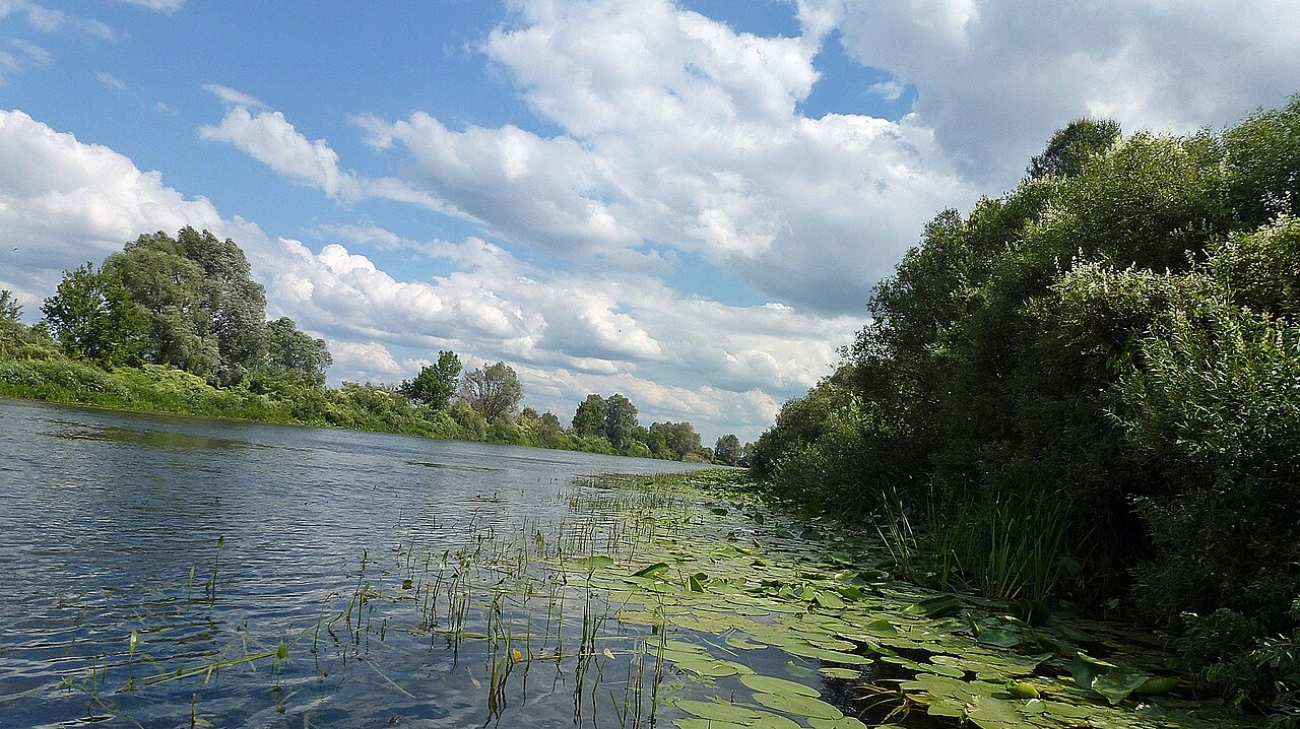 Ukraine's Ministry of Environment clarifies situation on water ...