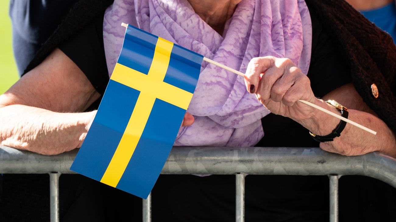 Sweden's largest aid package for Kyiv includes funds for Danish model ...